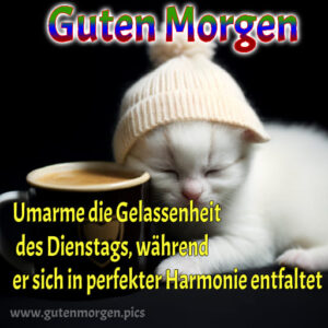 [Beste 500+] Guten Morgen Dienstag Bilder [AKTUALISIERT]