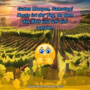 Erfrischendes Lachen zum Wochenende: Die besten guten Morgen Samstag ...